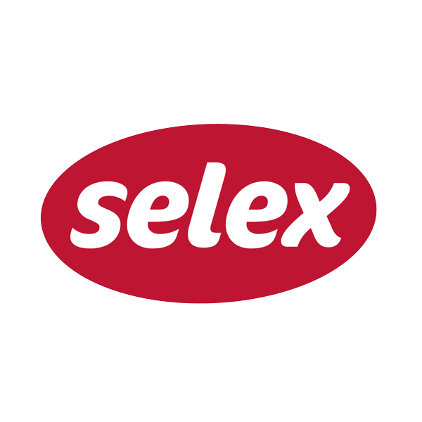Il Gruppo Selex